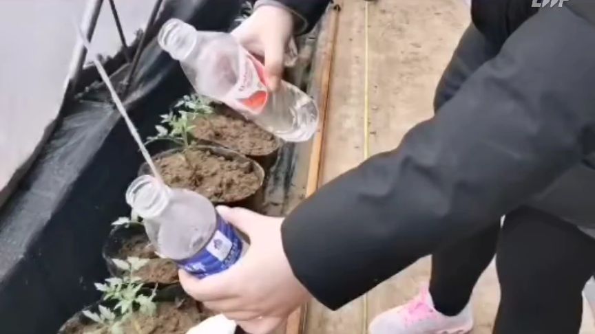 #如何使用空气消毒片#