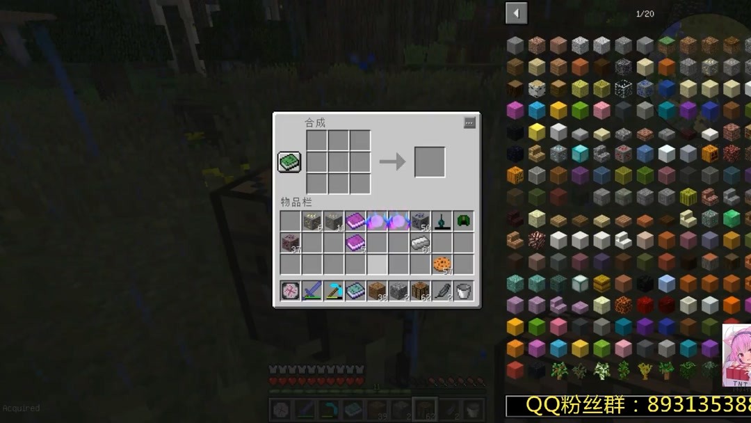 我的世界:暮色森林第五期