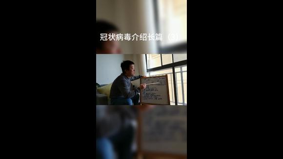 冠状病毒介绍