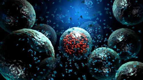 HIV病毒有多可怕?这种病毒便是困扰人类的噩梦