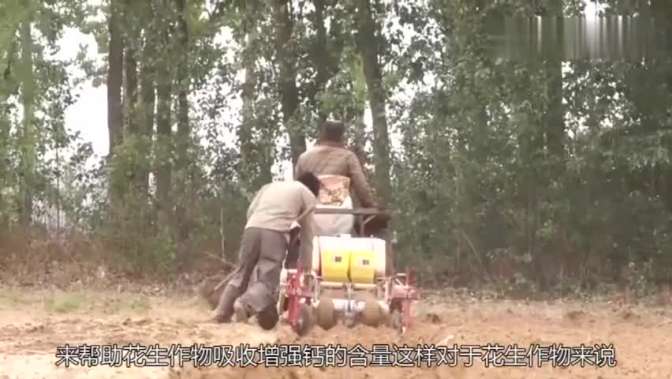 种花生的方法与技巧是什么