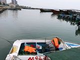 yangwanlei0324 