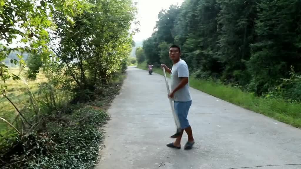 田里稻谷收割了,胖哥为田里存水禾苗再次发芽,以后还有稻谷收