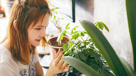 拍摄画面抖动不用愁,没有稳定器我们一样行,摄影师耿直手把手教