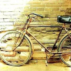 会画画的秦老师 