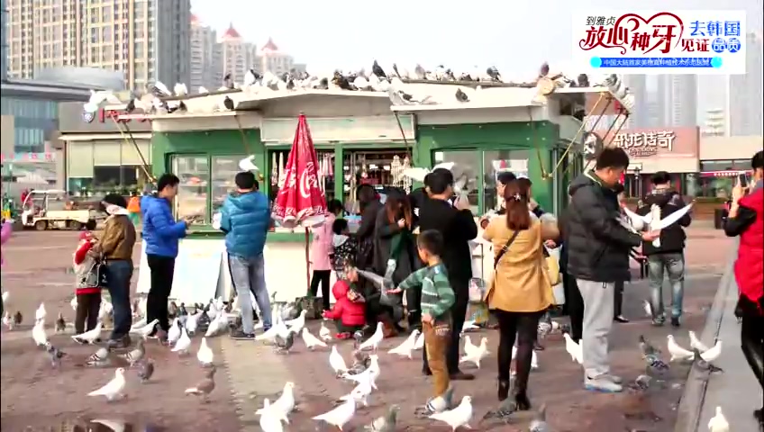 长沙植牙要多少钱