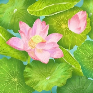 寻道1008 