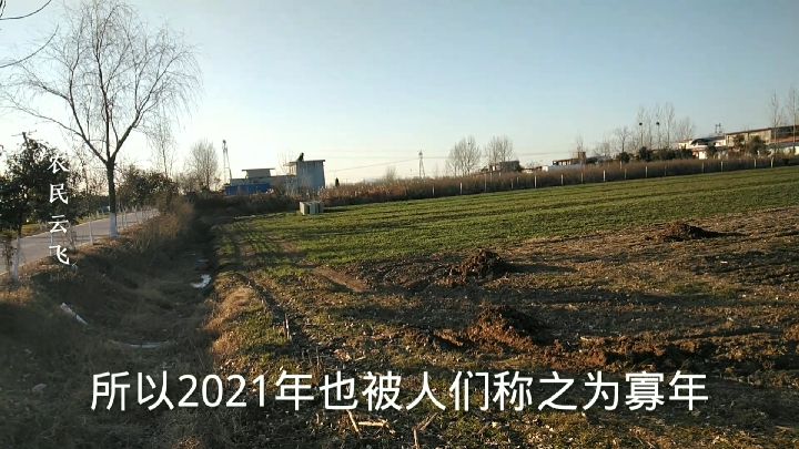 今年春节会暖吗?明年年景如何?大寒天气有预测,看看就明白了