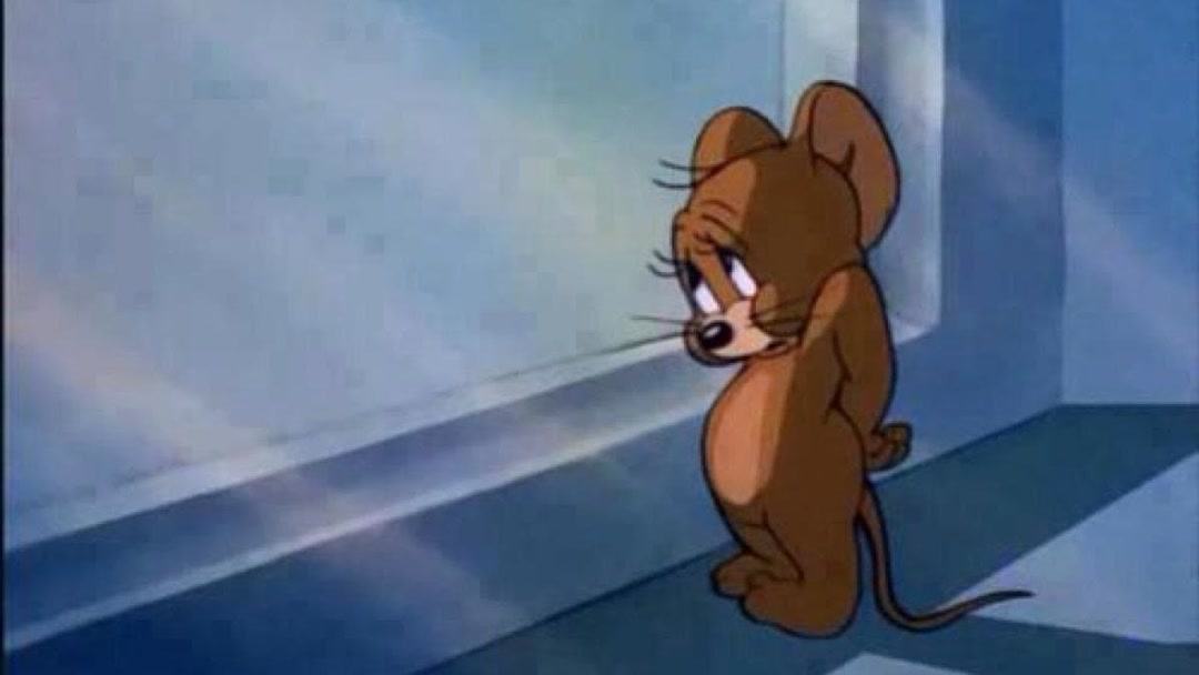 猫和老鼠国语新版大结局