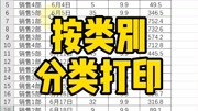 Excel按类别分类打印～