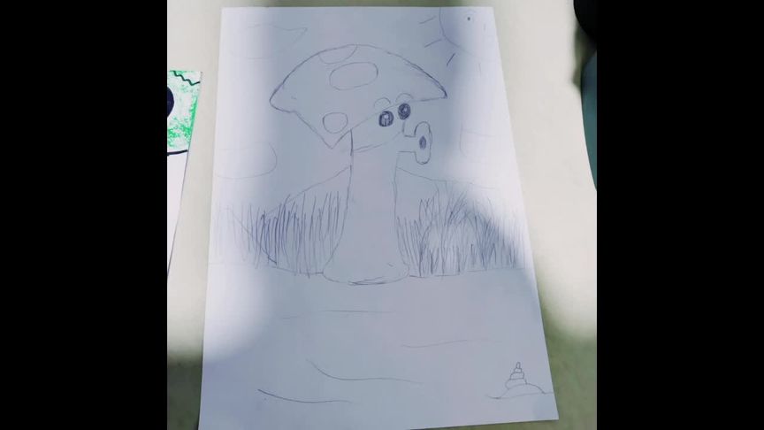 我儿今天送给我的自由素描画,画的他喜欢的植物菌菇,自由发挥