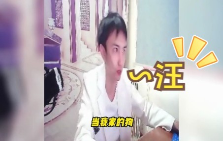 水友留言家里狗死了问耀扬能不能过去当两天