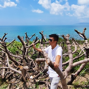 大强旅人 