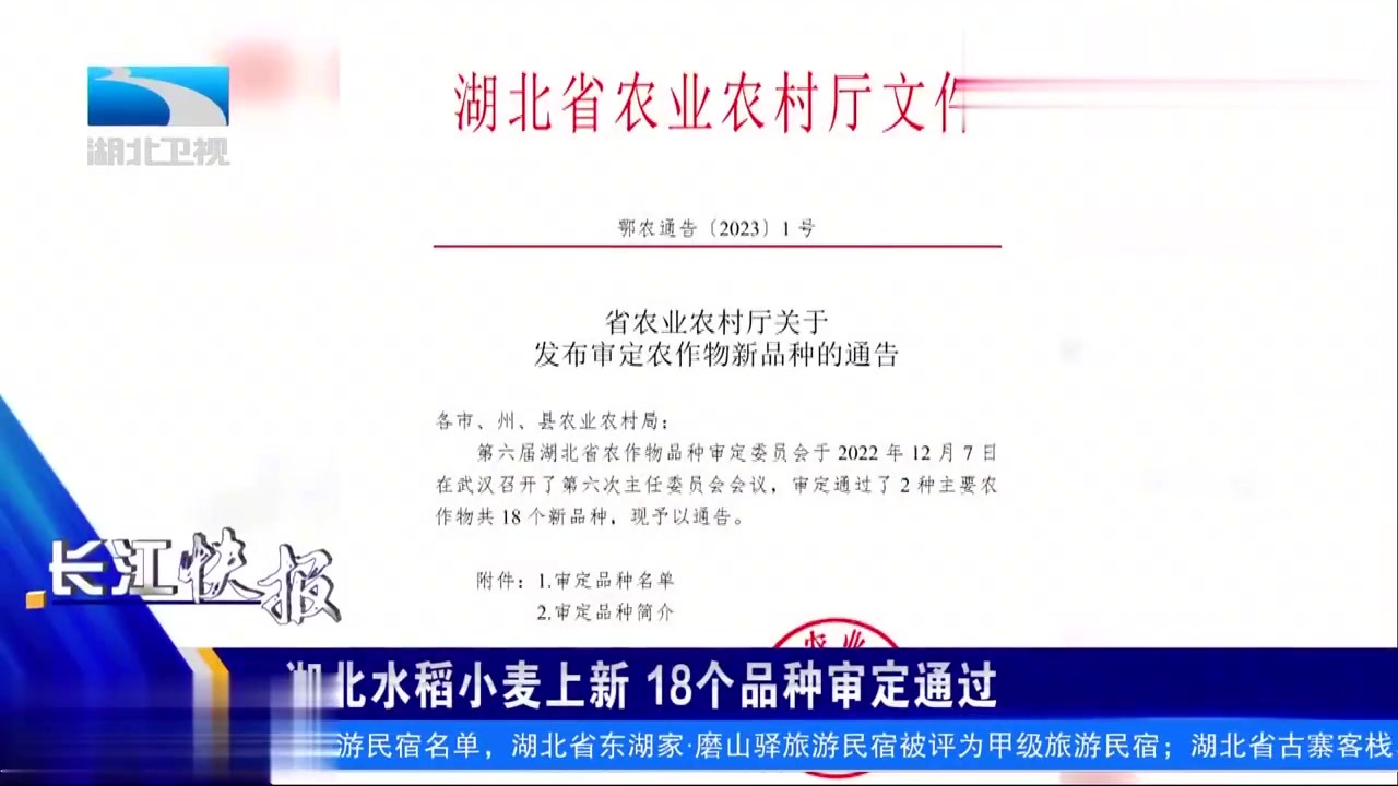 湖北水稻小麦上新18个品种审定通过