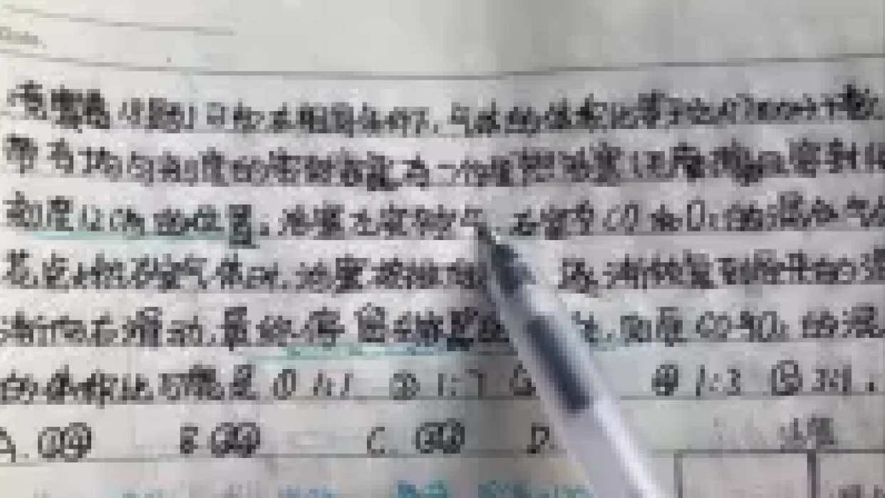 d062 一氧化碳与氧气反应