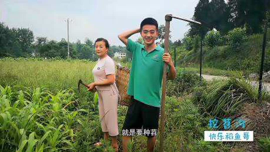 农村小伙和伯伯们一起种红薯,过去的农业经验也很重要,你认同吗