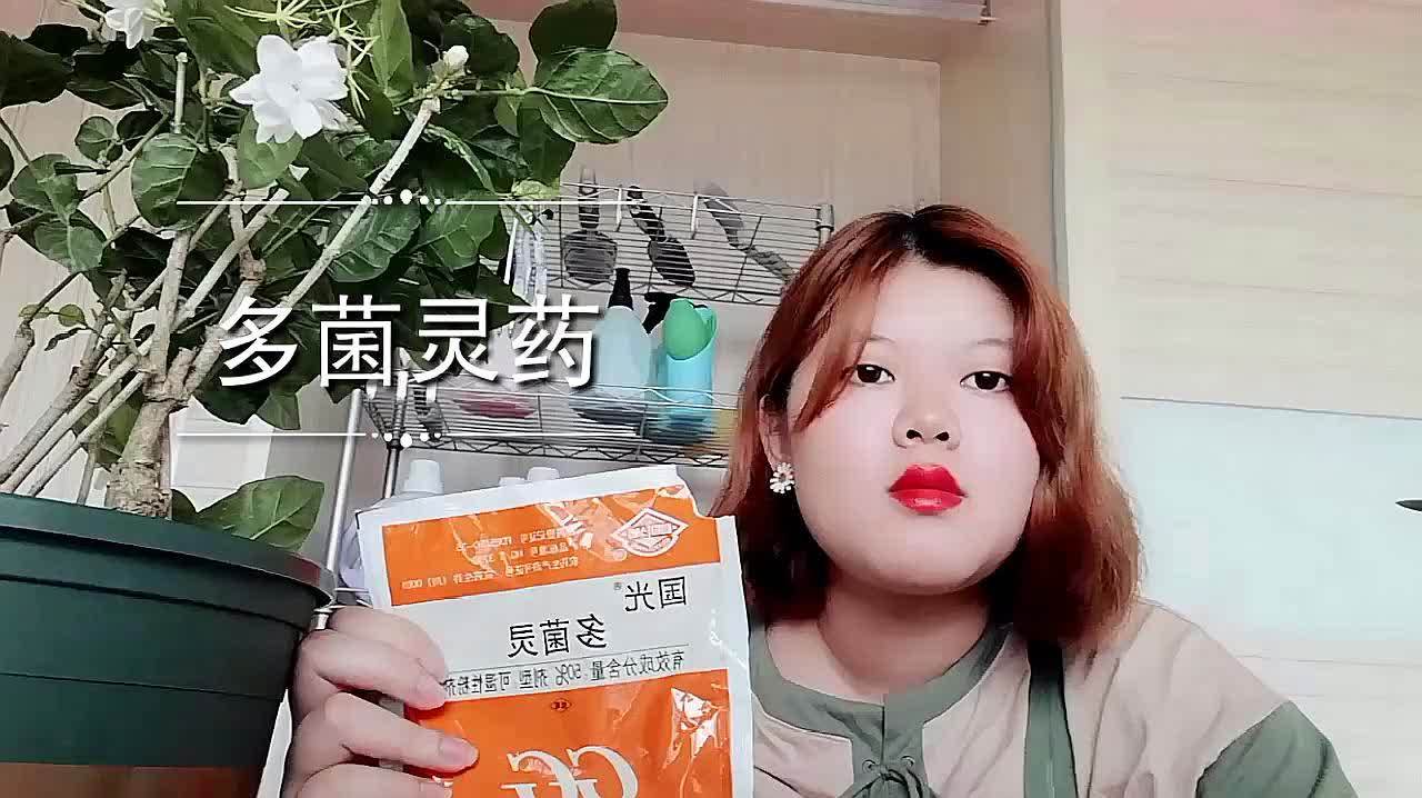 多菌灵怎么用,小花强烈安利推荐