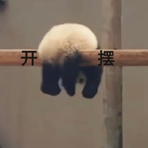 嗨vvv 