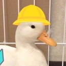 凶猛动物也温柔 