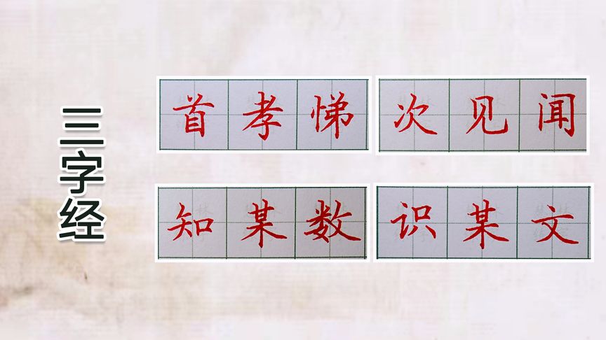 首孝悌,次见闻,知某数,识某文,硬笔书法视频教程