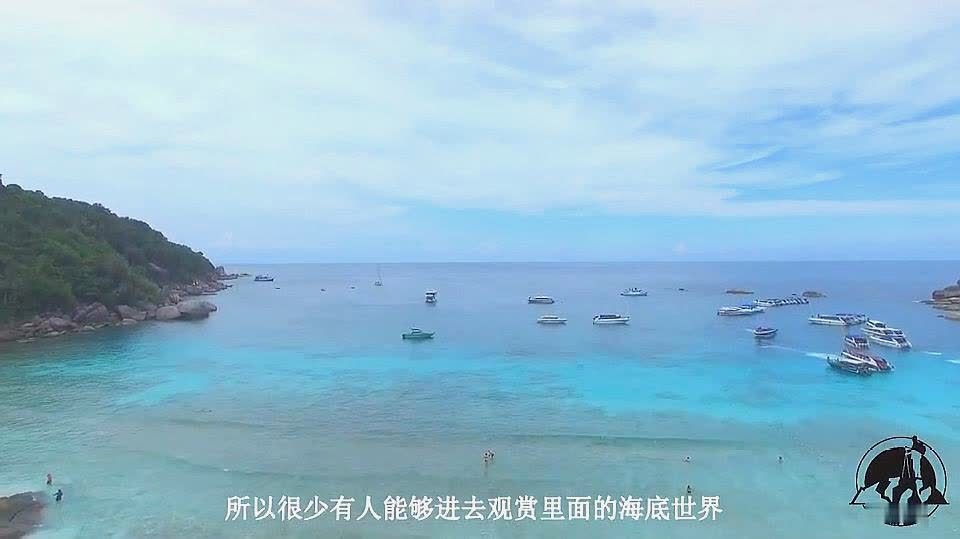 造价近1亿的人民币的鱼缸,由透明的玻璃做成,鱼类有56种!