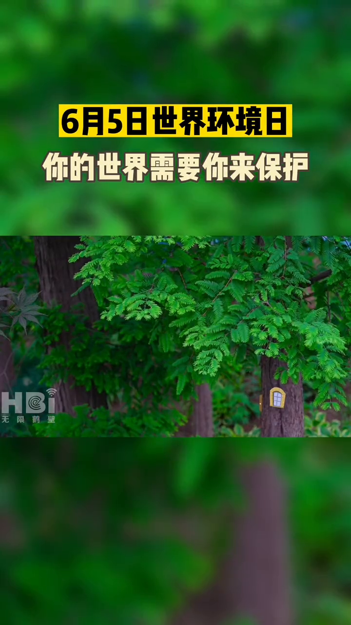 世界环境日让我们一起来保护世界吧