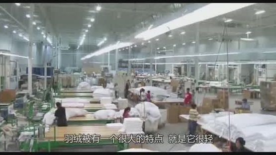 到底蚕丝被暖还是羽绒被暖?商场店家终于说出实情