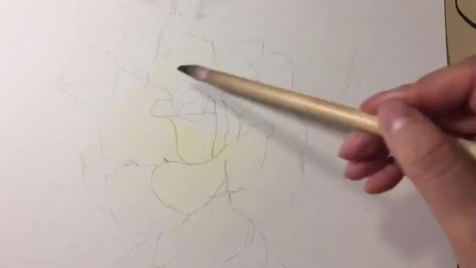 水彩教程:手把手教你画朵好看的玫瑰花.