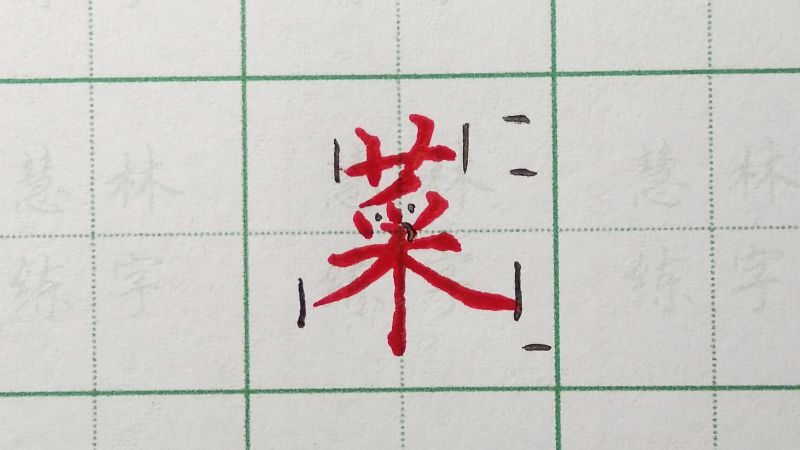 菜字的硬笔写法,草字头写窄,横短竖长,撇捺伸展