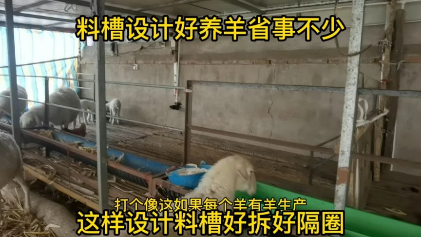 新手养羊料槽这样设计好拆好隔圈,用波纹管和水槽每米多少钱呢
