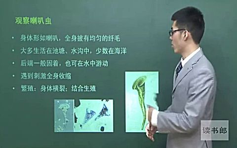6.1.7用显微镜观察身边的生命世界(三)