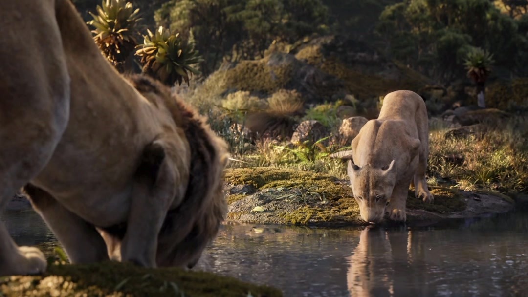 狮子王:辛巴与娜娜重逢并定情,这段bgm真的绝了