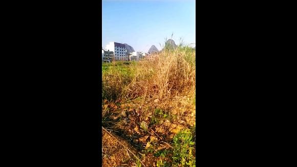 新型冠状病毒宣传相关法律法规
