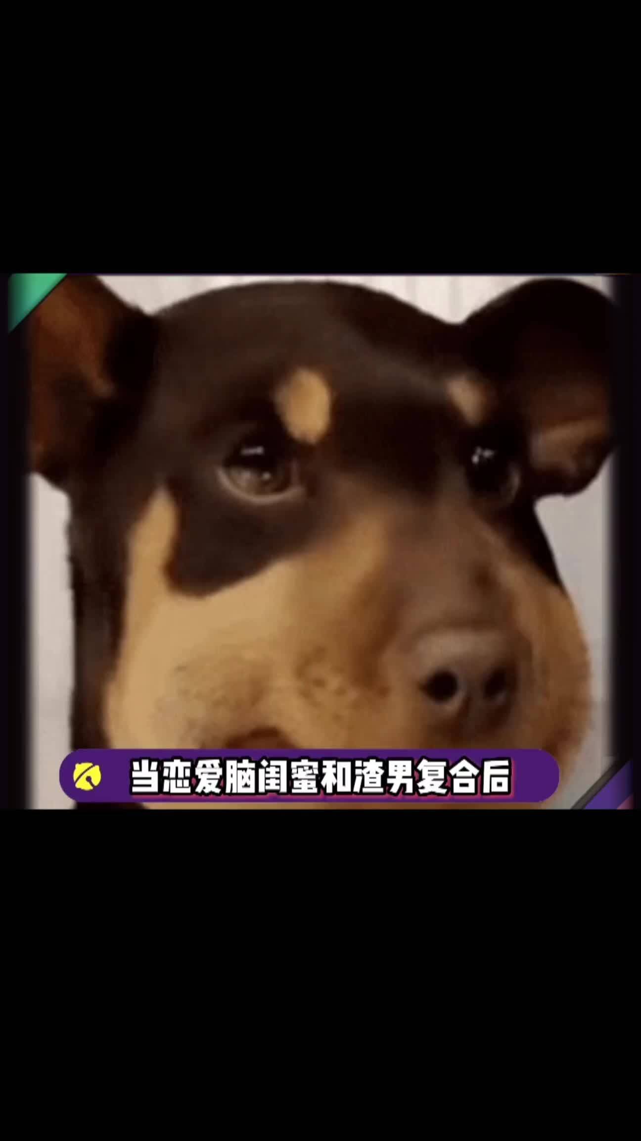 寥寥几个语气词,表达了我想表达的一切~恋爱脑搞笑