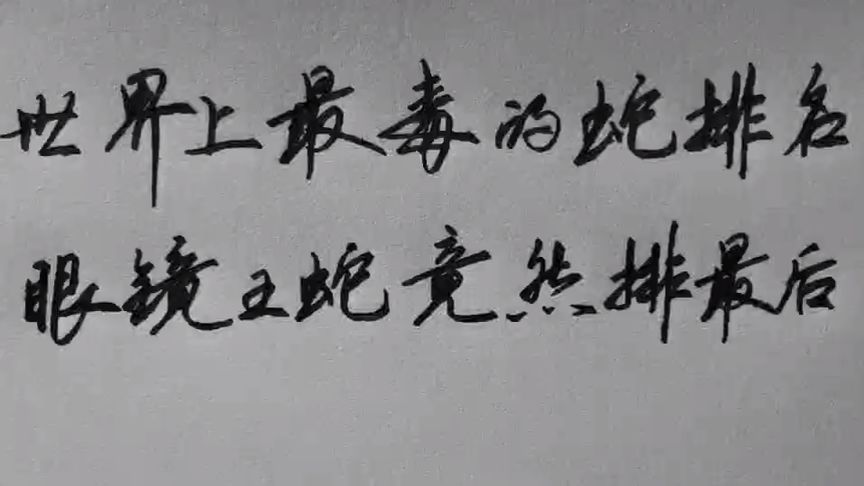世界上最毒的蛇排名