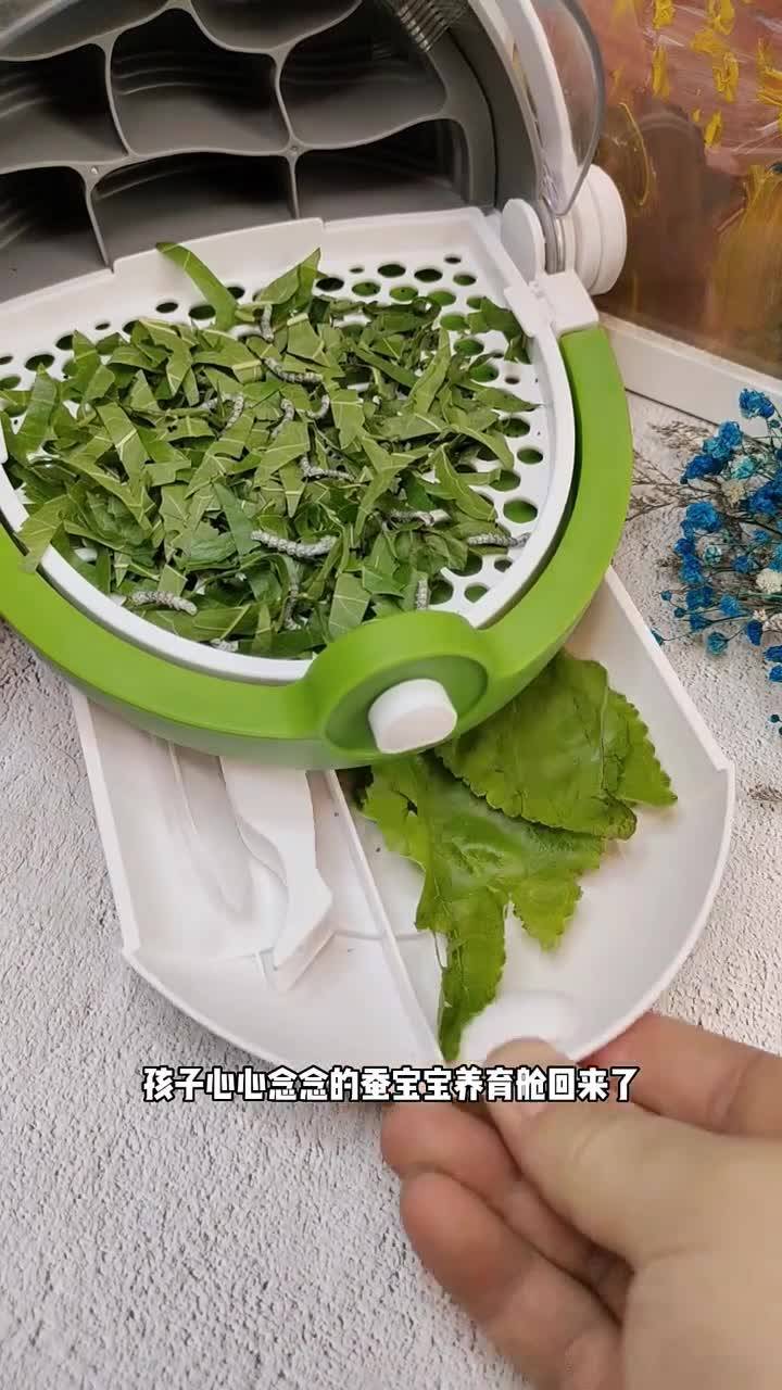 快带孩子近距离观察奇妙的生长发育过程吧