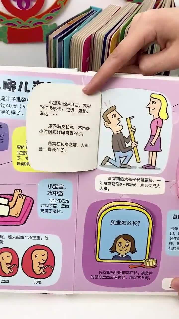 终于找到一款宝宝和我都喜欢的翻页书啦