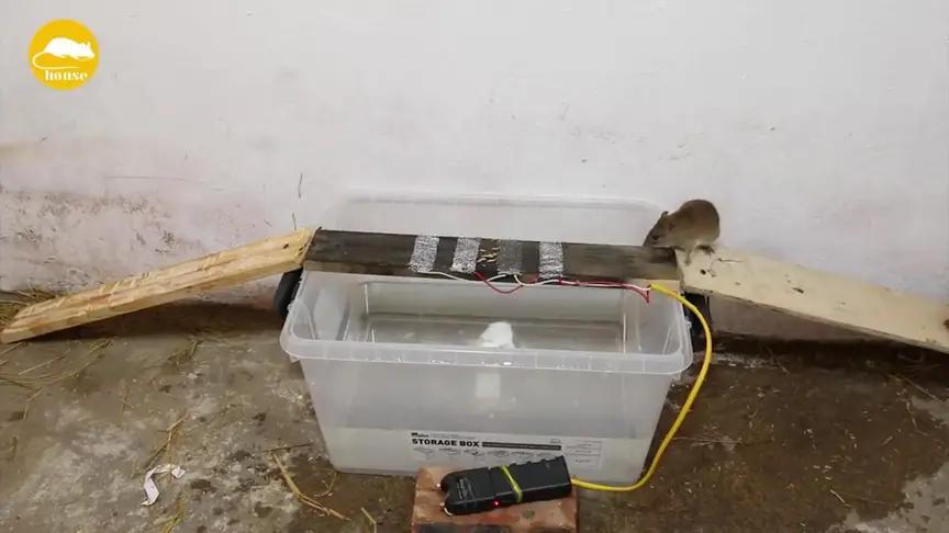 电动捕鼠器5万伏,老鼠在上面像跳高一样的