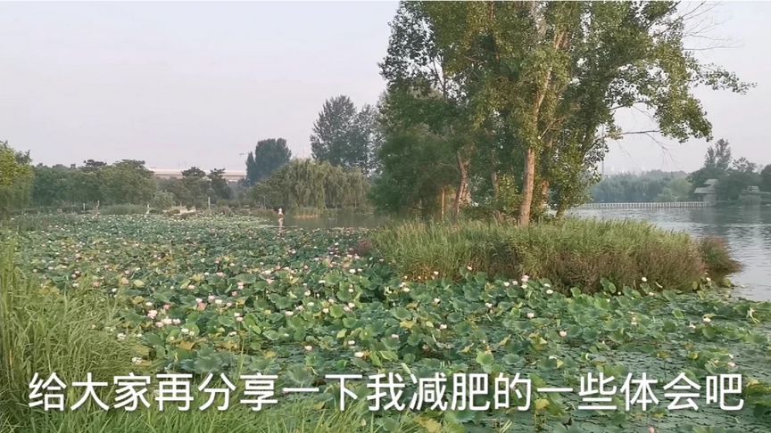 一个月瘦20斤,看完我的做法,你肯定能瘦到满意的体重