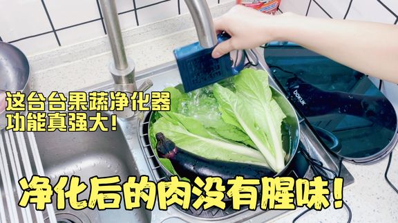 厨房里全是网红厨具!新入果蔬净化器功能完美,美味的小吊梨汤