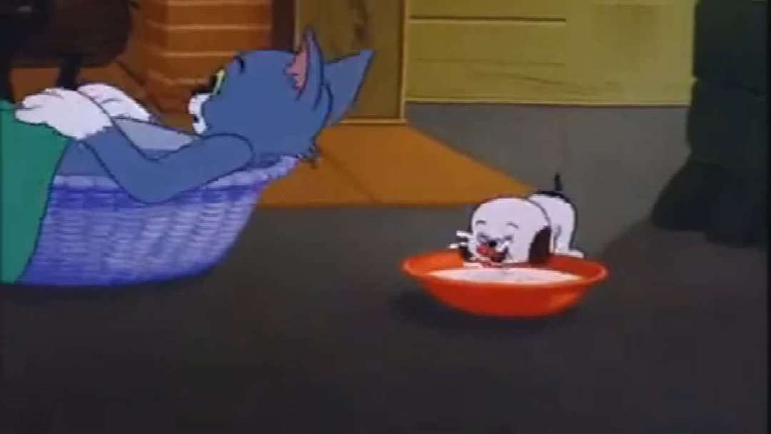 猫和老鼠,最搞笑的一集很多人都没看过