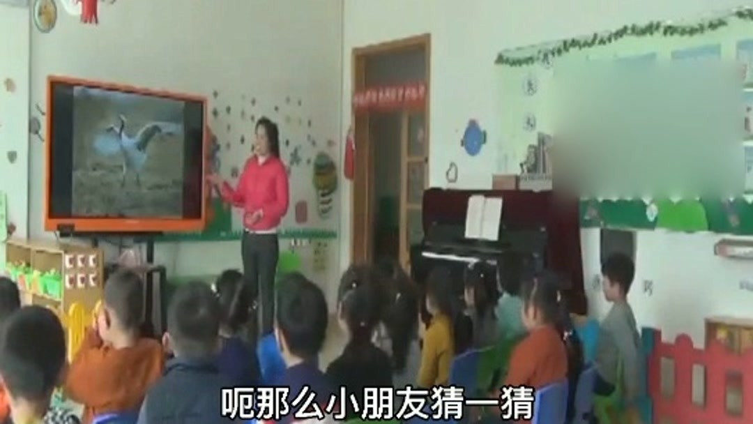 幼儿园中班科学领域公开课《动物怎么睡觉》教案