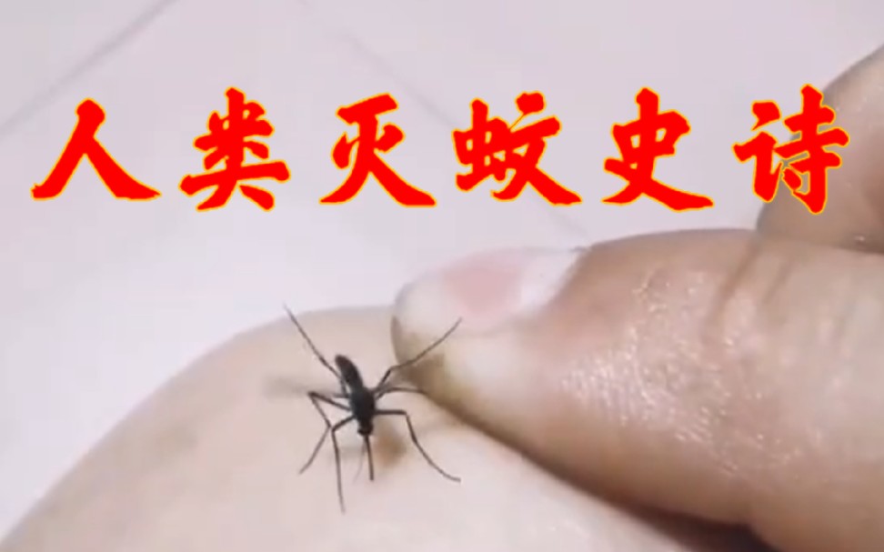 人类与蚊子的史诗之战,荡气回肠!