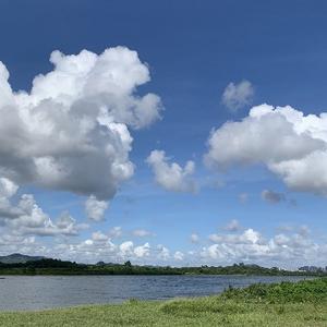 河洛数学刘锦麟 