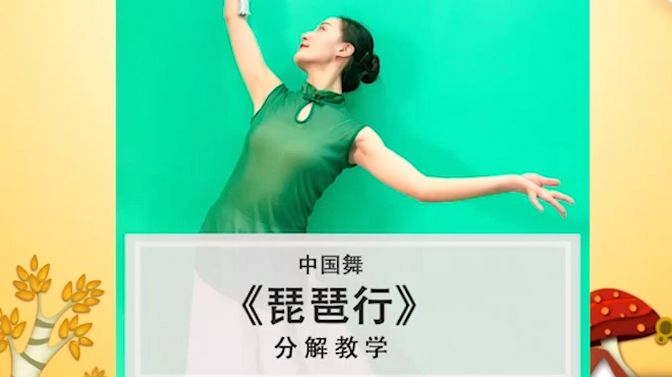 琵琶行舞蹈教程:中国舞琵琶行舞蹈教学