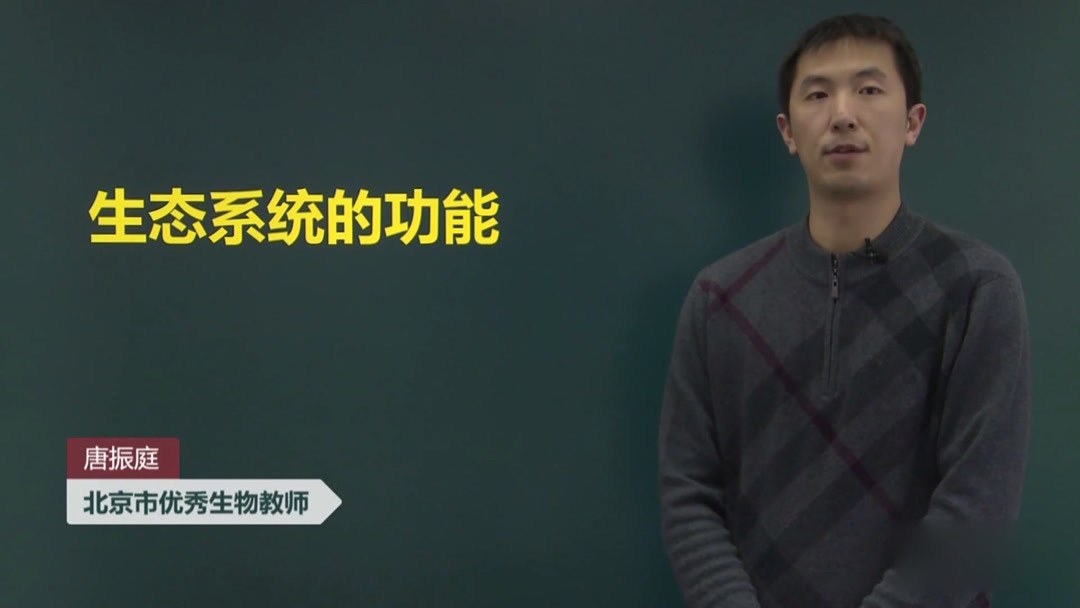 生态系统的功能