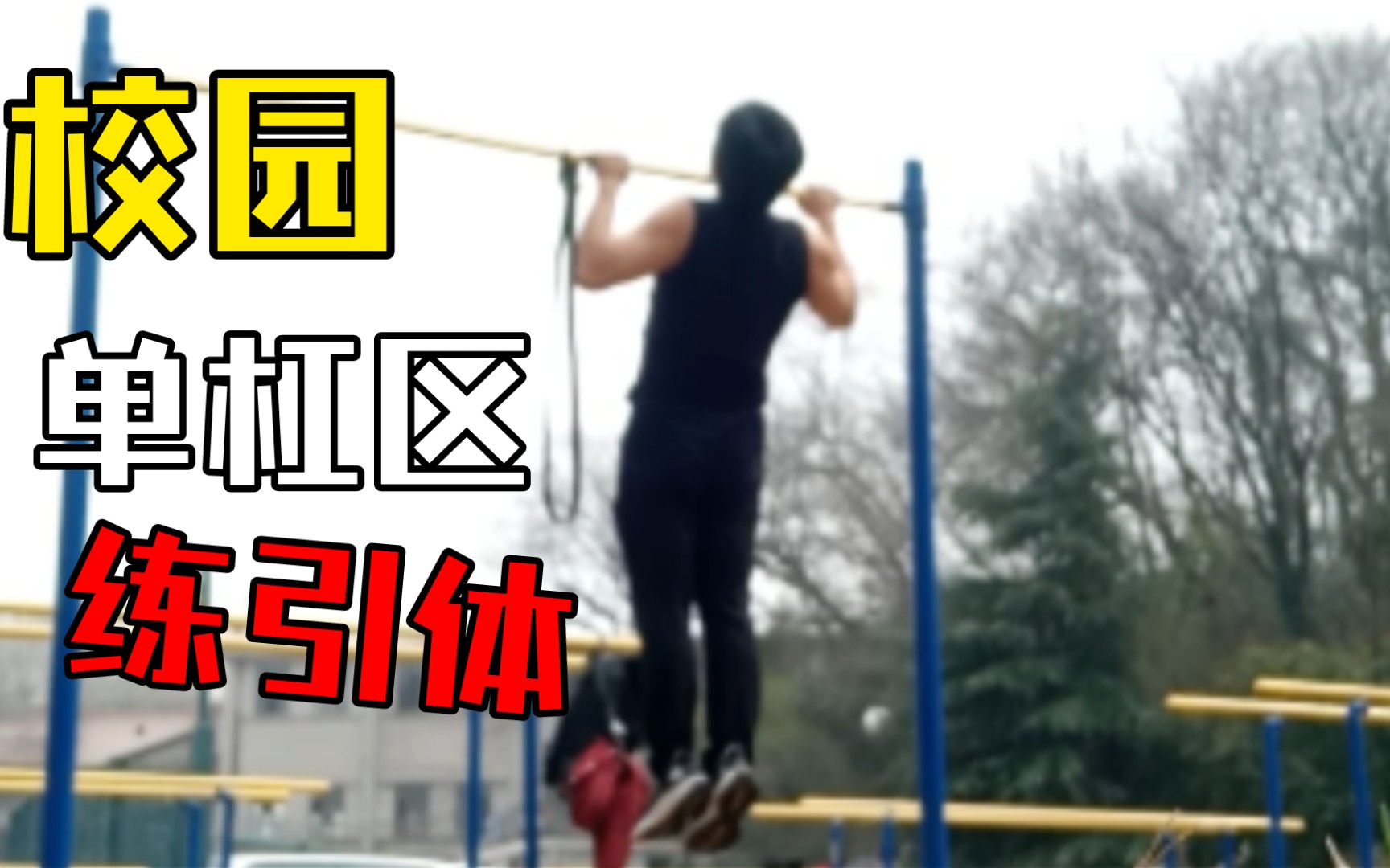 学校提升引体向上‖引体向上+双杠臂屈伸+吊杠举腿