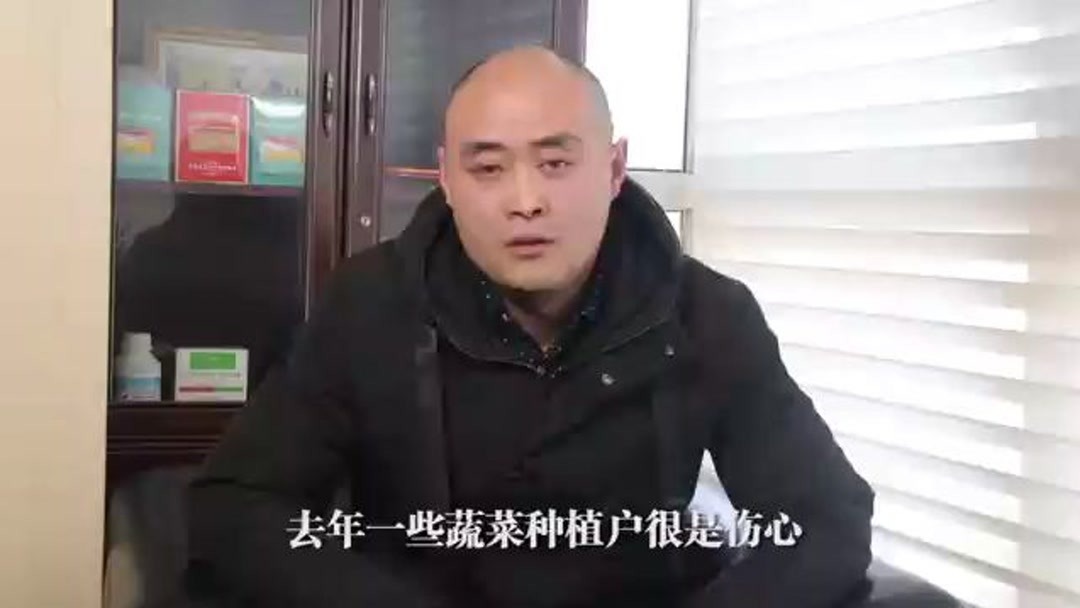 番茄种植技术1(关注我带你发家致富)