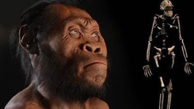 人类祖先,到底谁最先占据世界屋脊?没想到他们才是西藏最早居民