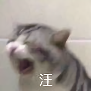 爱玩游戏的胖彬 